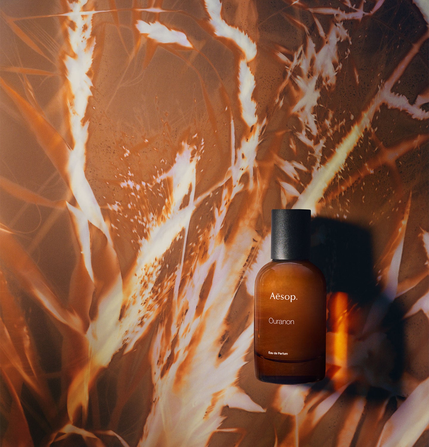 Aesop | Natural Skin Care Products & Fragrance | Aesop UAE
